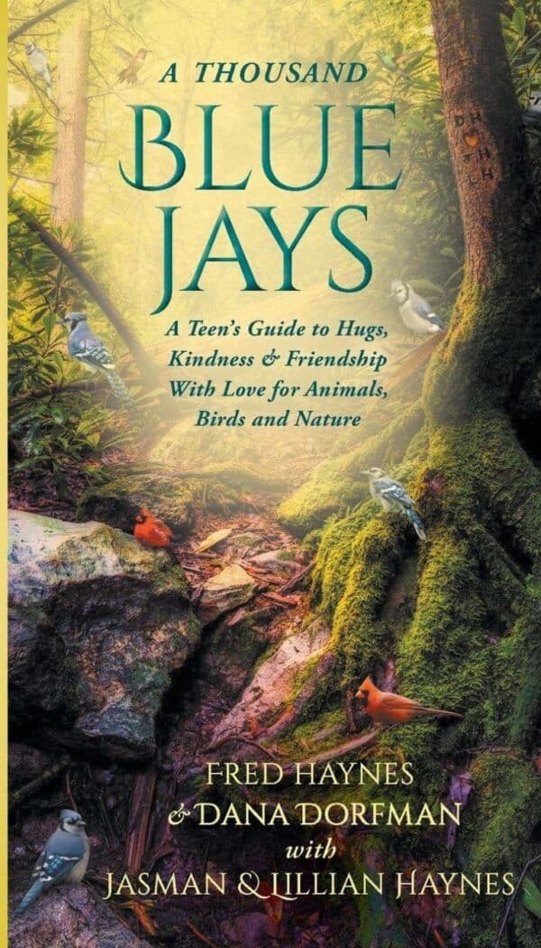 A Thousand Blue Jays: A Teen's Guide | Bookstore of MindStir Media Book ...